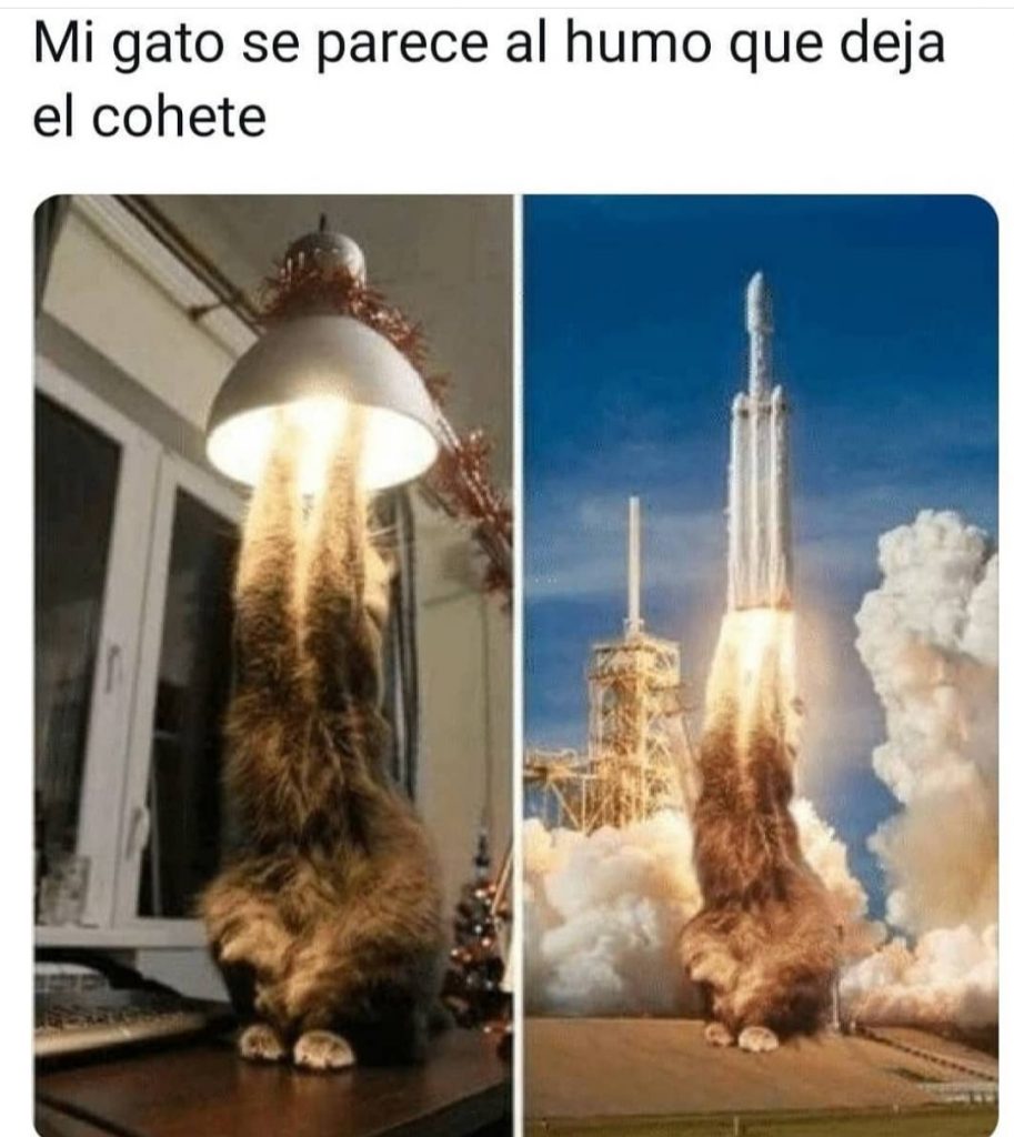 Mi gato es como el humo – Meme Noticias