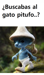 Meme gato pitufo – Invequa